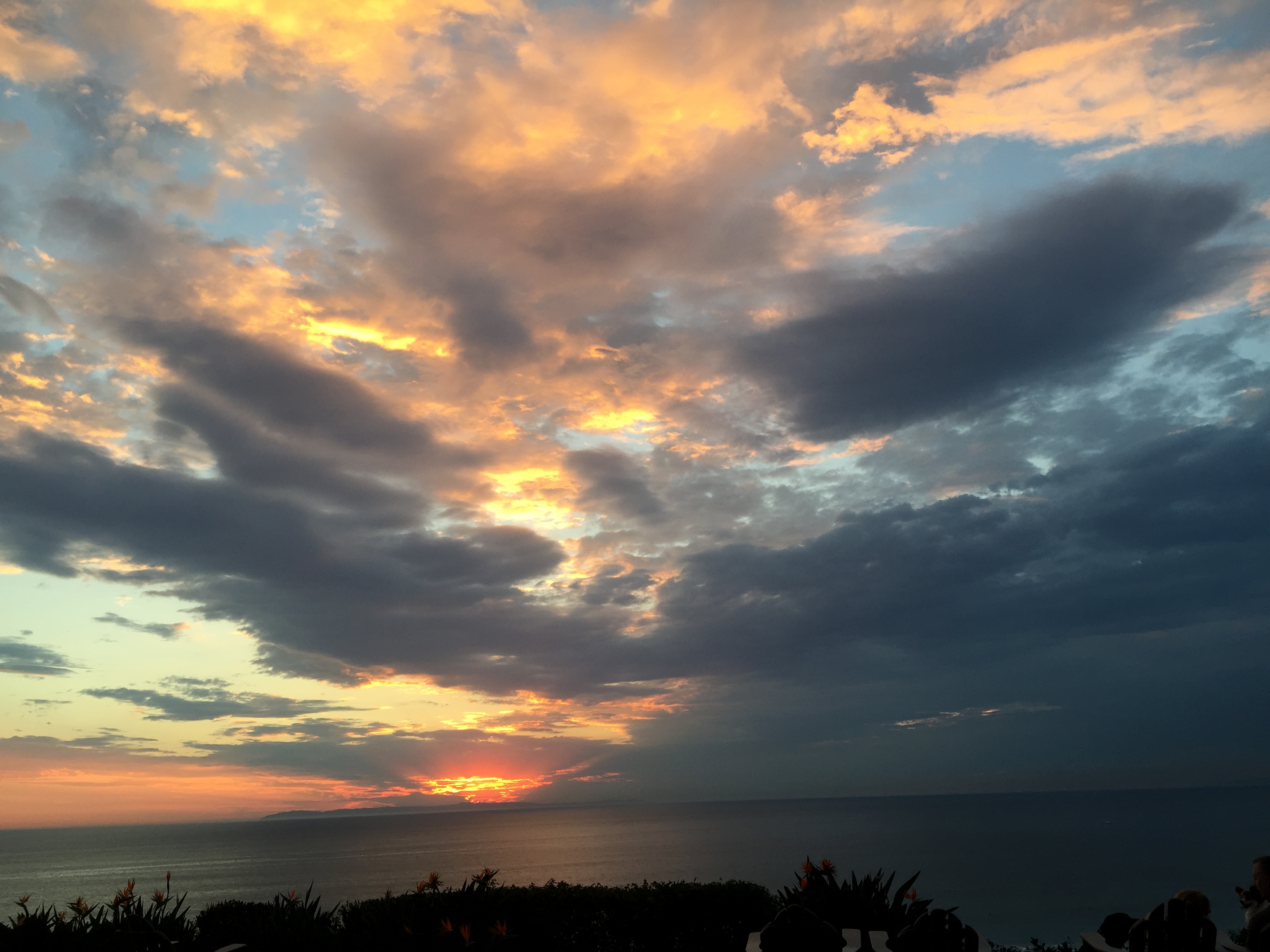 Slow Riser – Inspired New Horizons